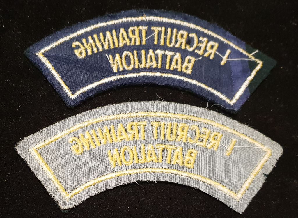 PAIR OF 1 RECRUIT TRAINING BATTALION SHOULDER FLASHES – John Burridge ...